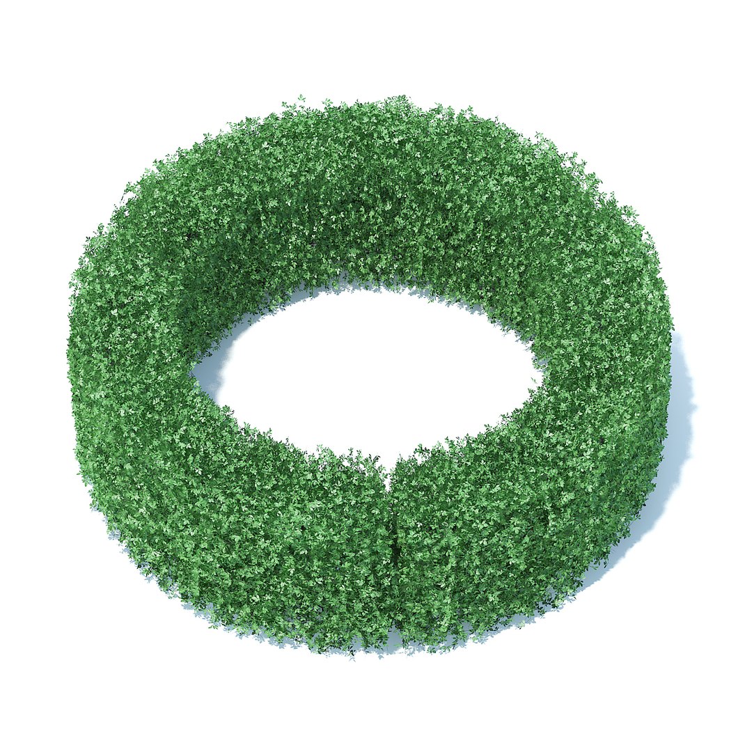 Circle Shaped Hedge Model - TurboSquid 1220763