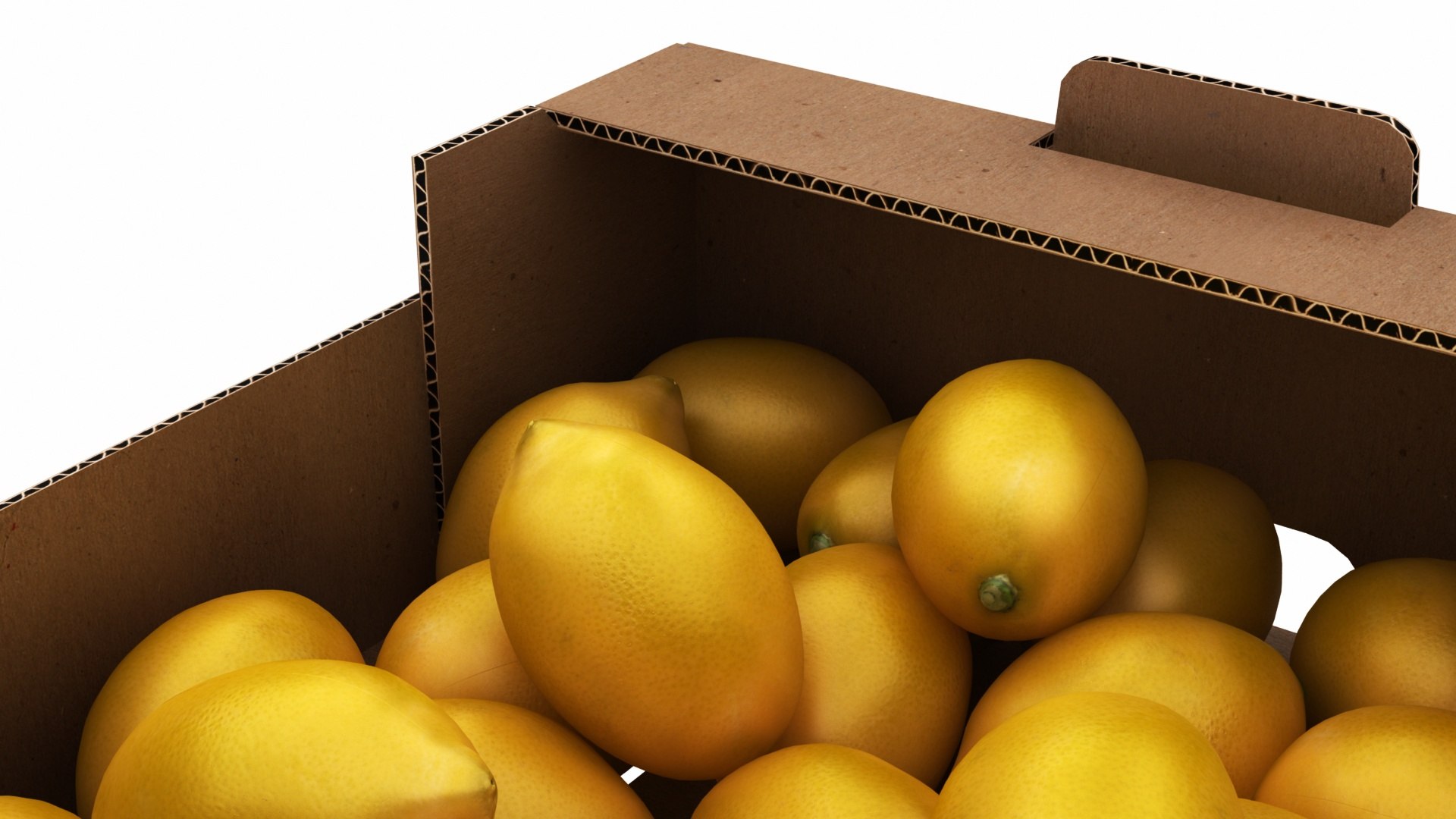 Cardboard Lemons Model - TurboSquid 1540390