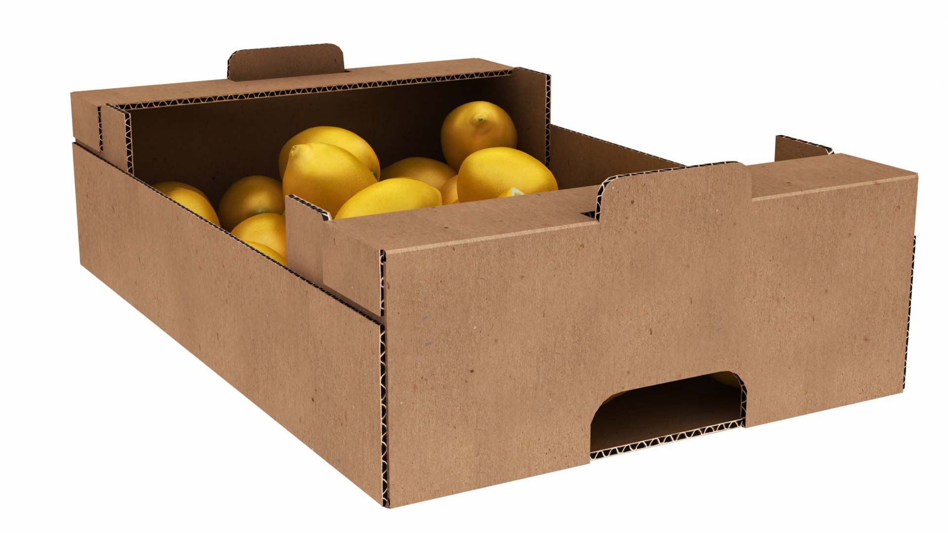 Cardboard Lemons Model - TurboSquid 1540390