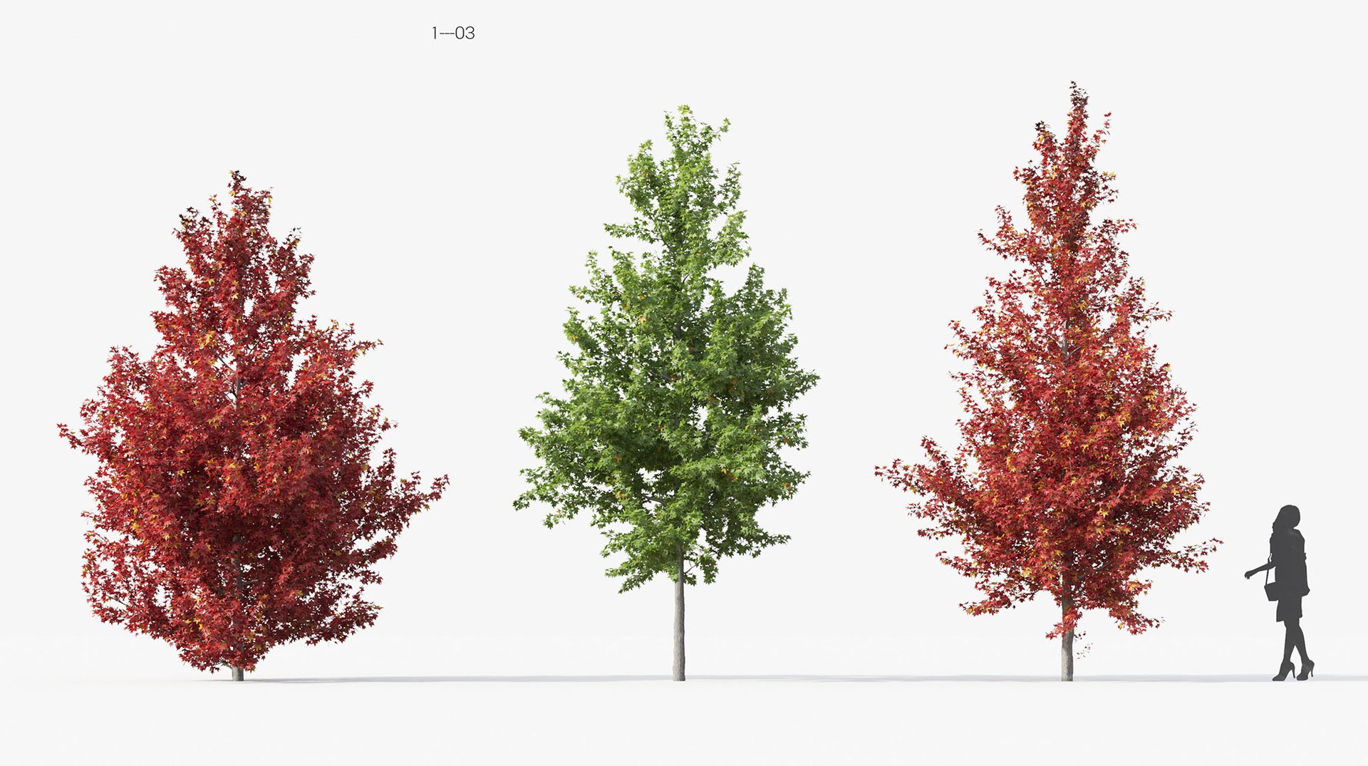 Tree Includes Growfx Files 3D Model - TurboSquid 1650668