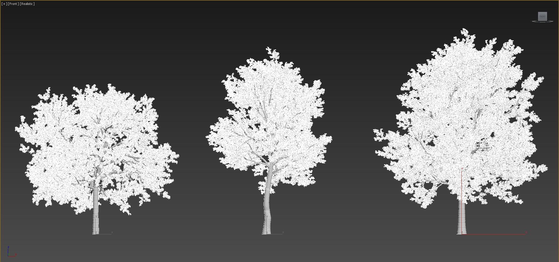 Tree includes growfx files 3D model - TurboSquid 1650668