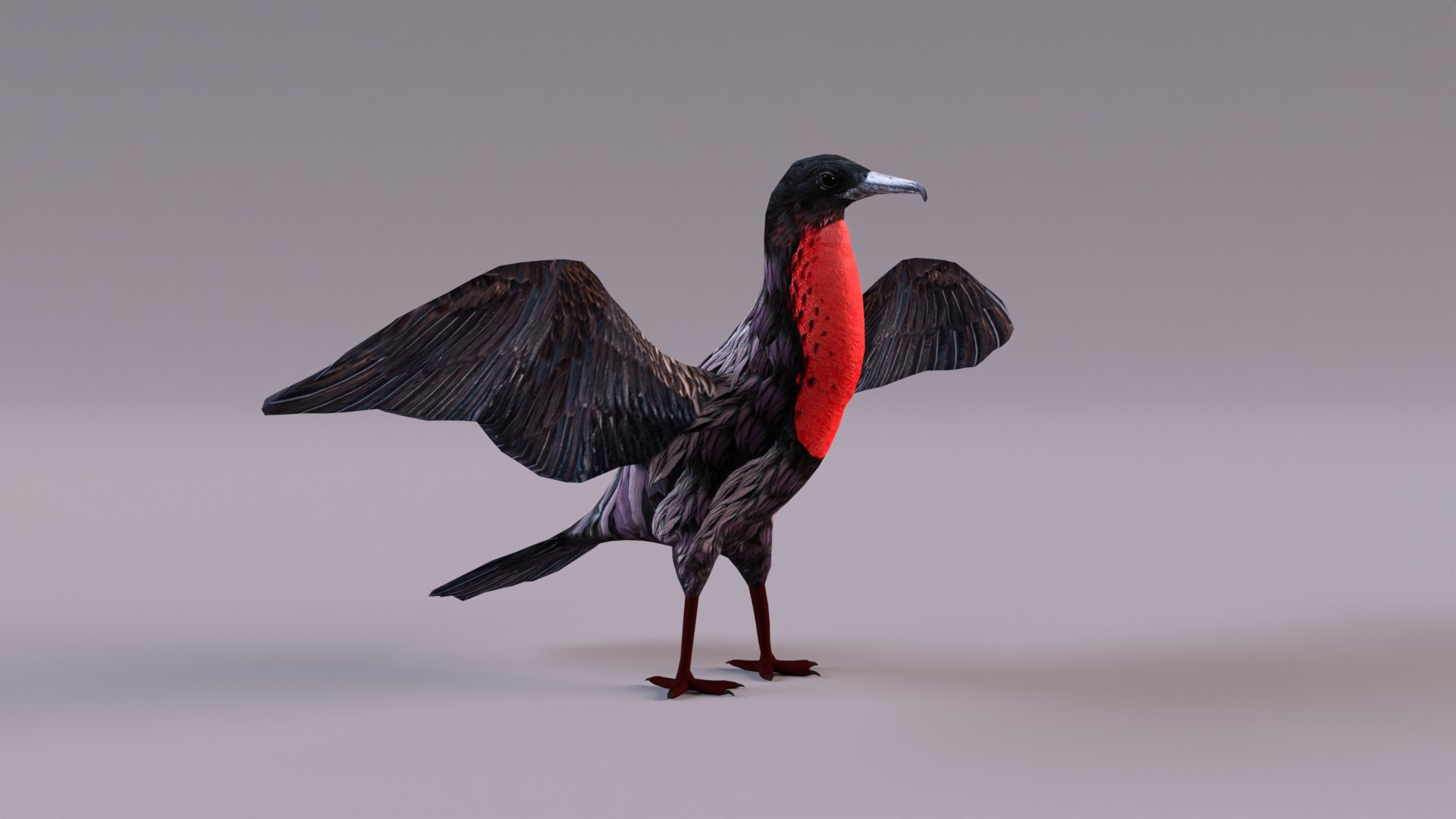 North American birds 3D model - TurboSquid 2067285