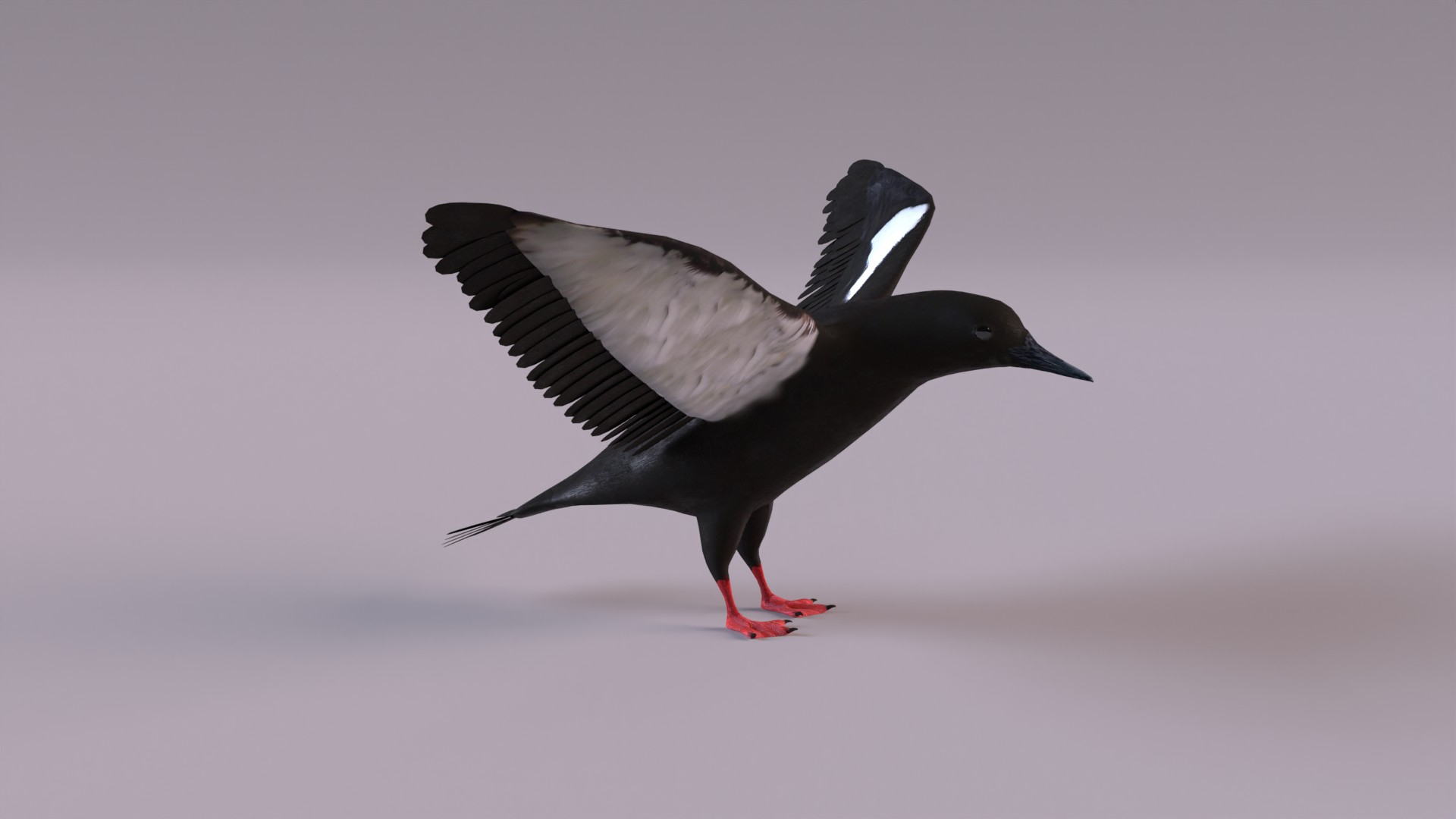North American birds 3D model - TurboSquid 2067285