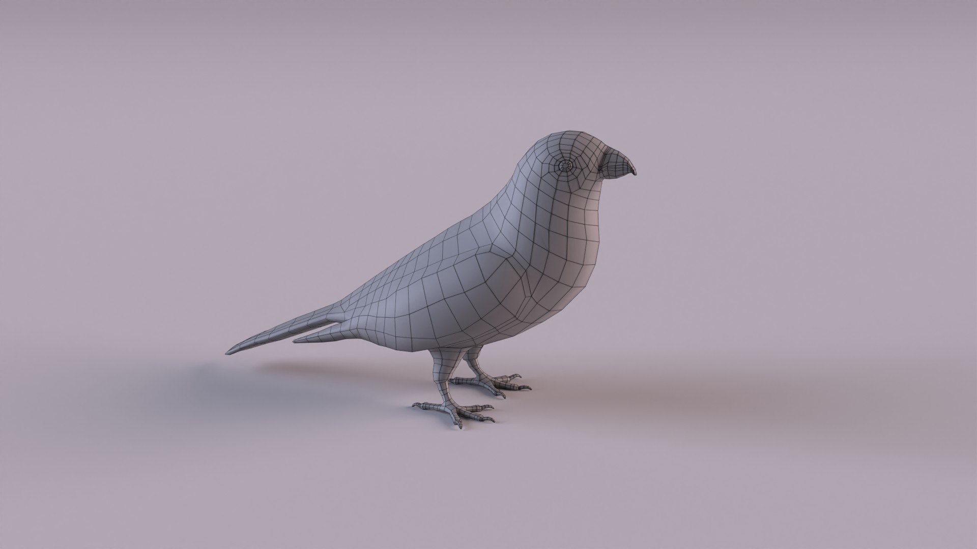 North American birds 3D model - TurboSquid 2067285