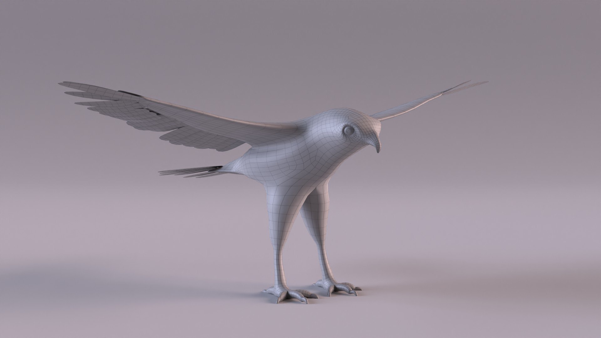 North American birds 3D model - TurboSquid 2067285