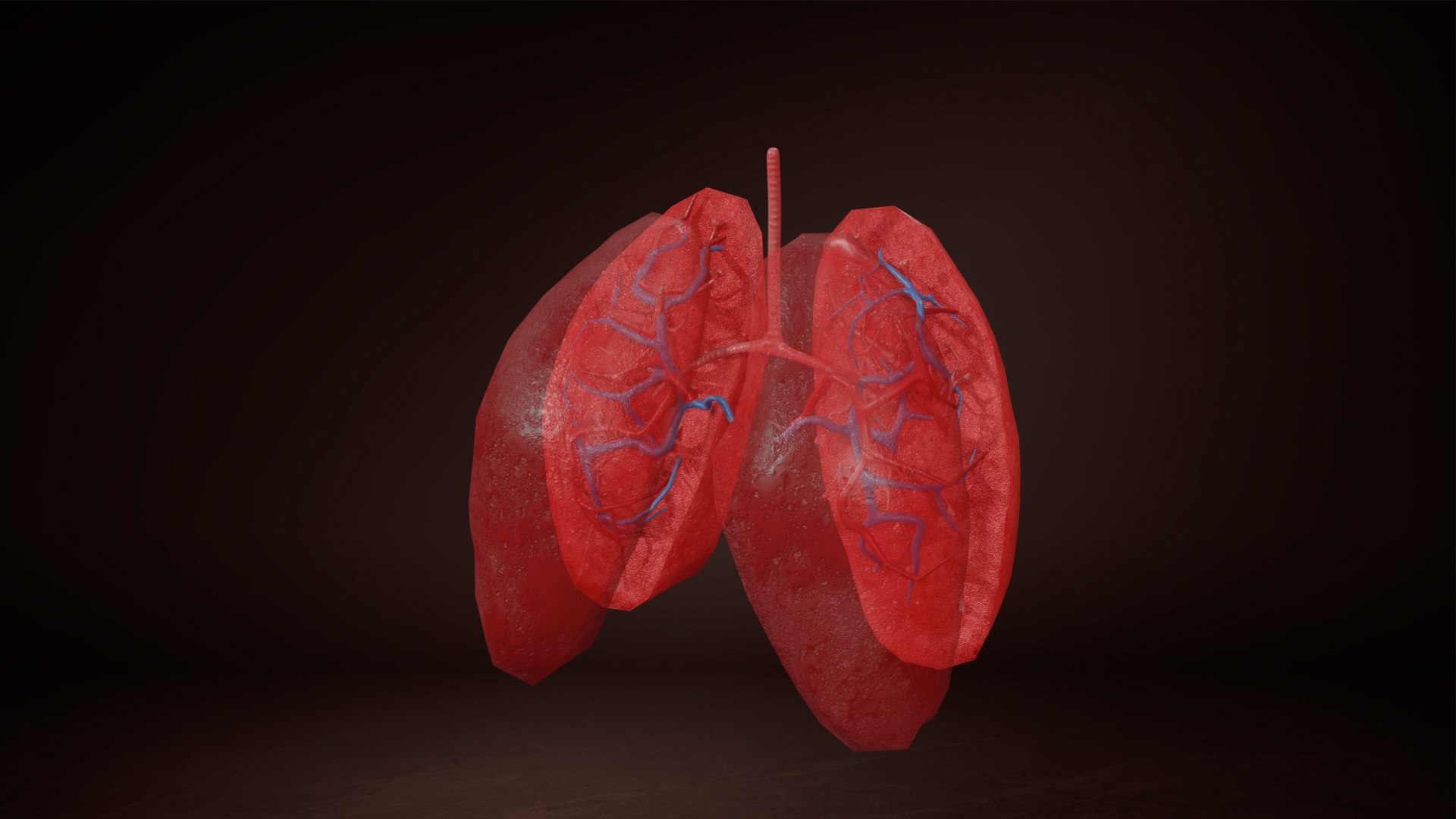 Internal Lung 3D model - TurboSquid 2117590