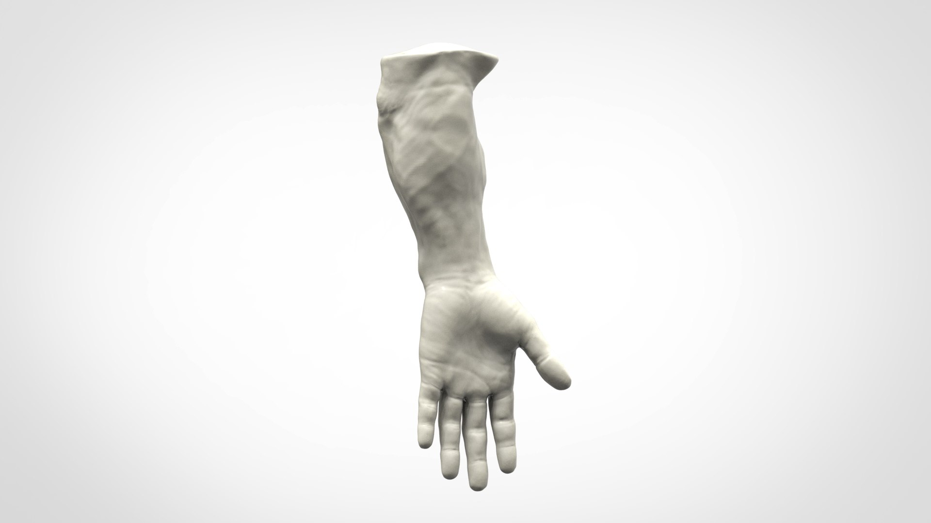 3D Realistic Human Hand Model - TurboSquid 2184942