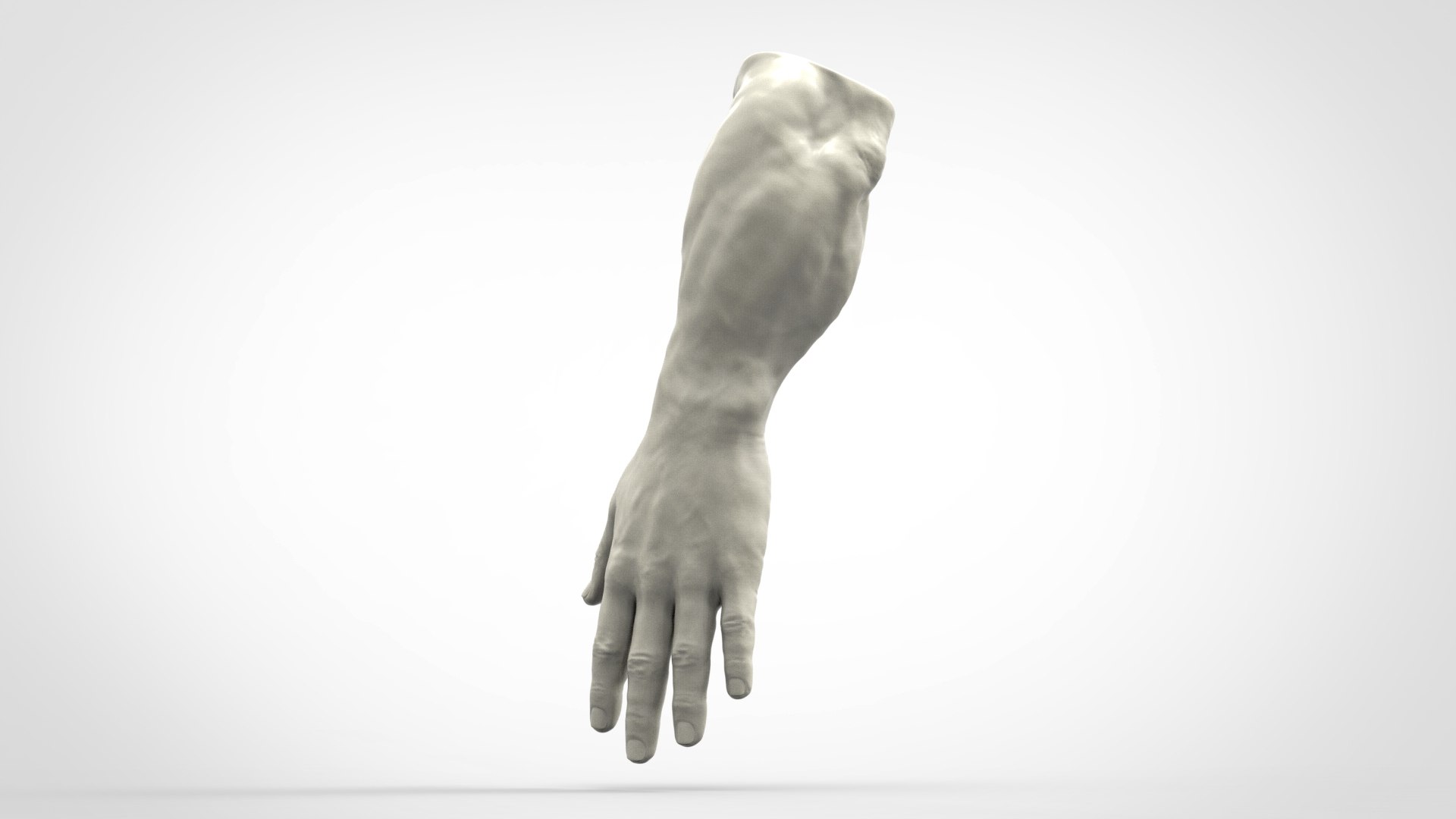 3D Realistic Human Hand Model - TurboSquid 2184942