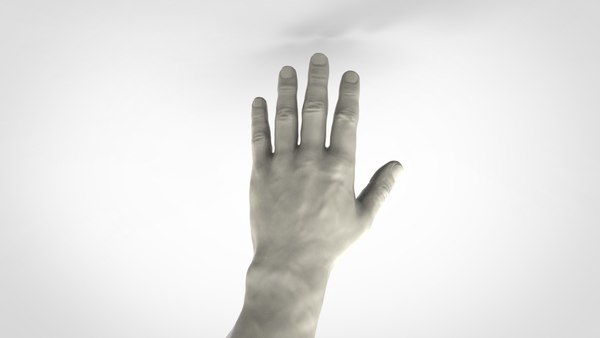 modelo 3d Mano humana realista - TurboSquid 2184942