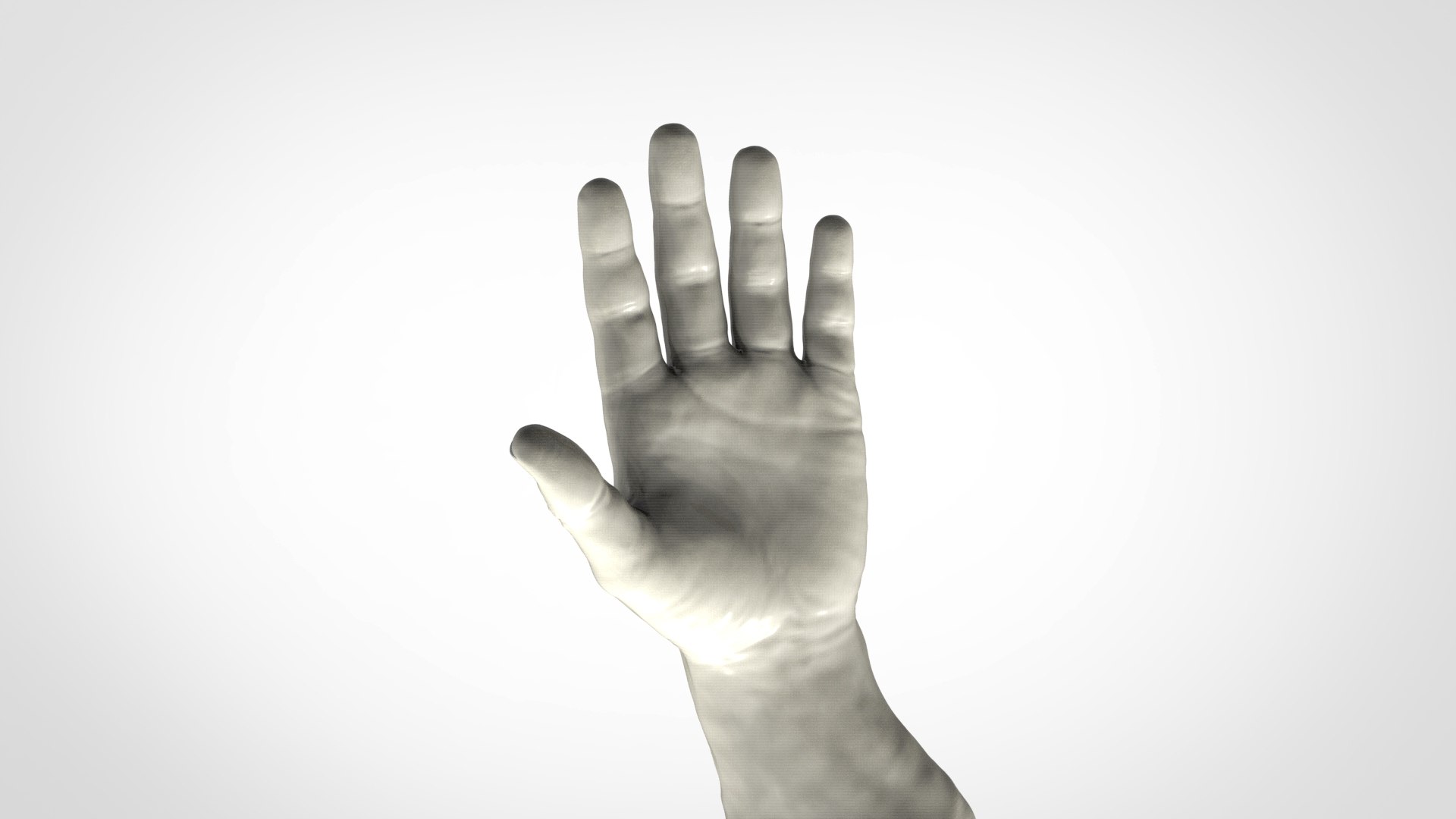3D Realistic Human Hand Model - TurboSquid 2184942