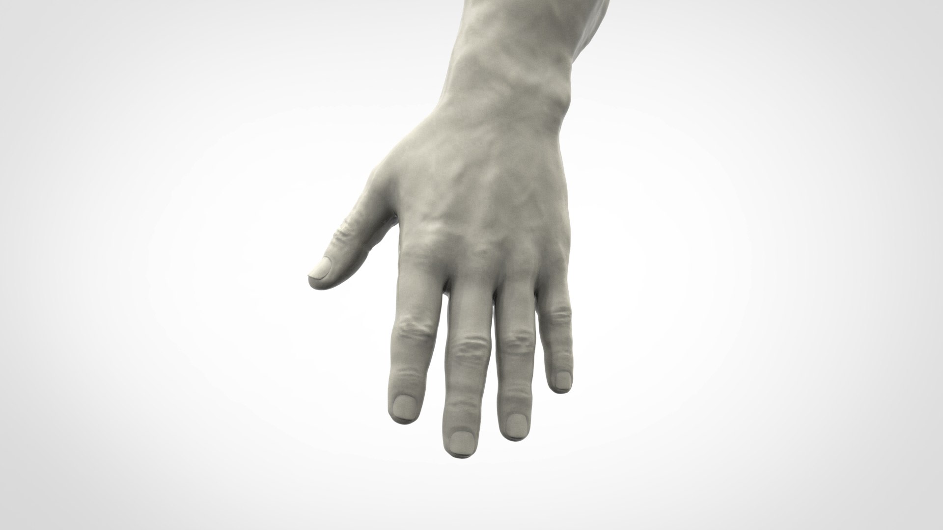 3D Realistic Human Hand Model - TurboSquid 2184942