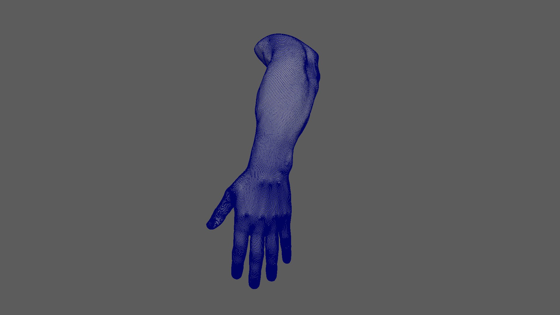3D Realistic Human Hand Model - TurboSquid 2184942