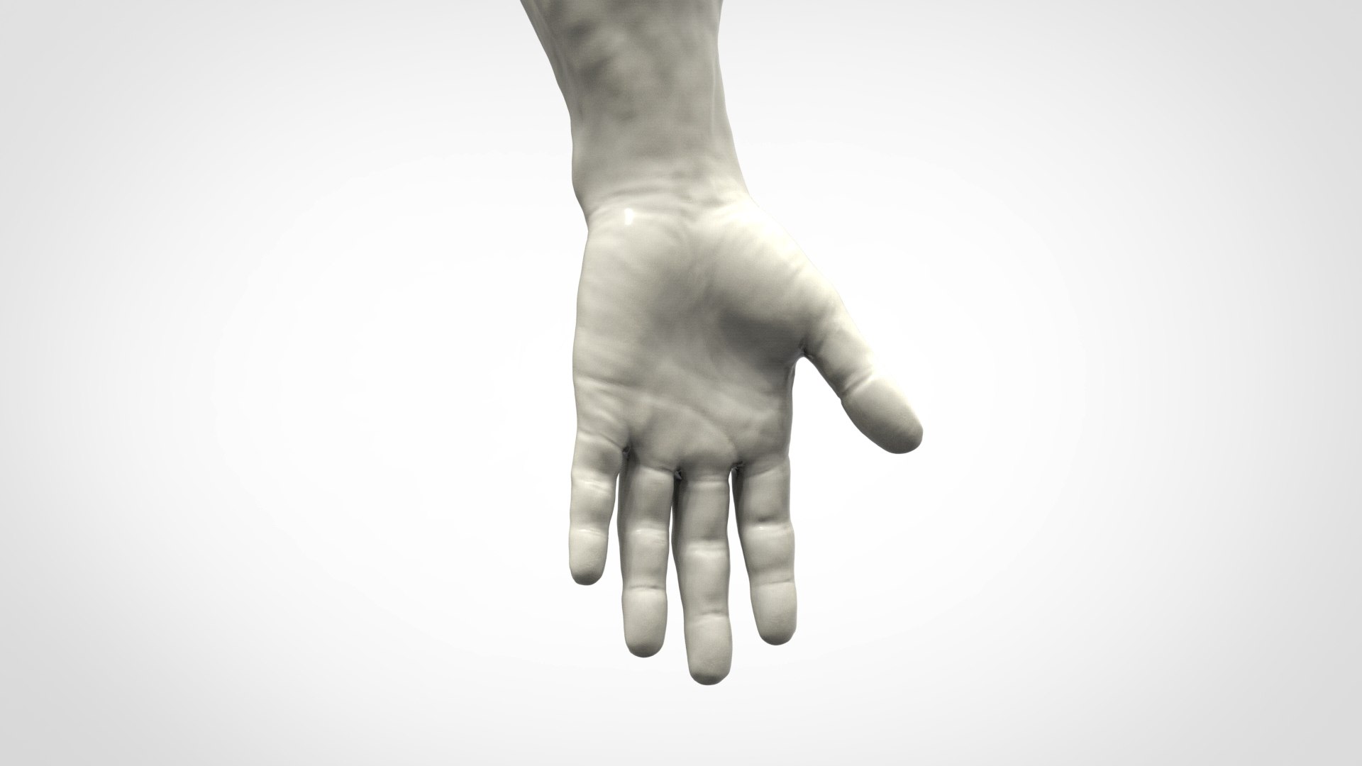 3D Realistic Human Hand Model - TurboSquid 2184942