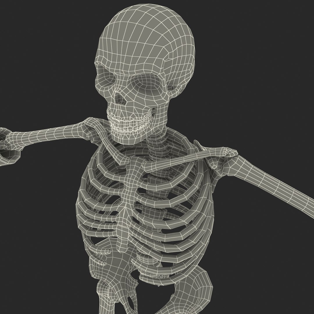 Cartoon Skeleton 2 Max