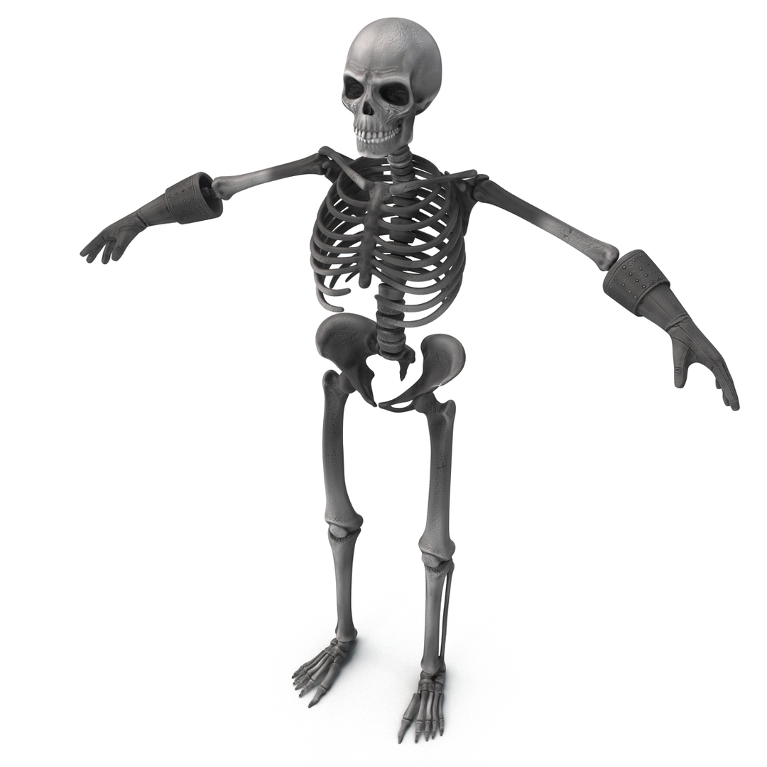 Cartoon Skeleton 2 Max