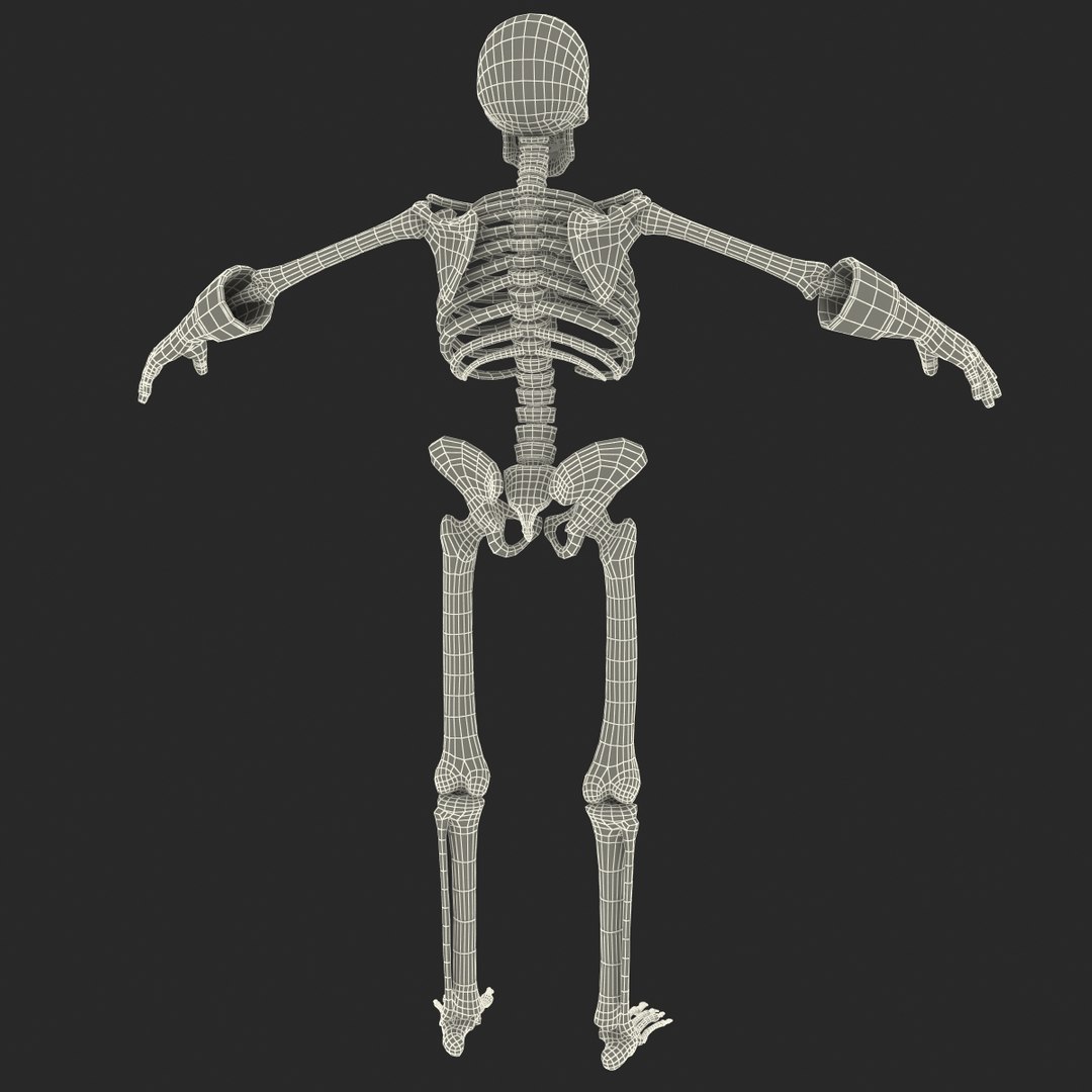 Cartoon Skeleton 2 Max