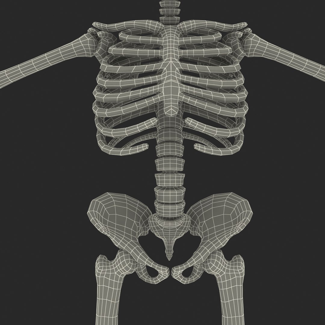 Cartoon Skeleton 2 Max