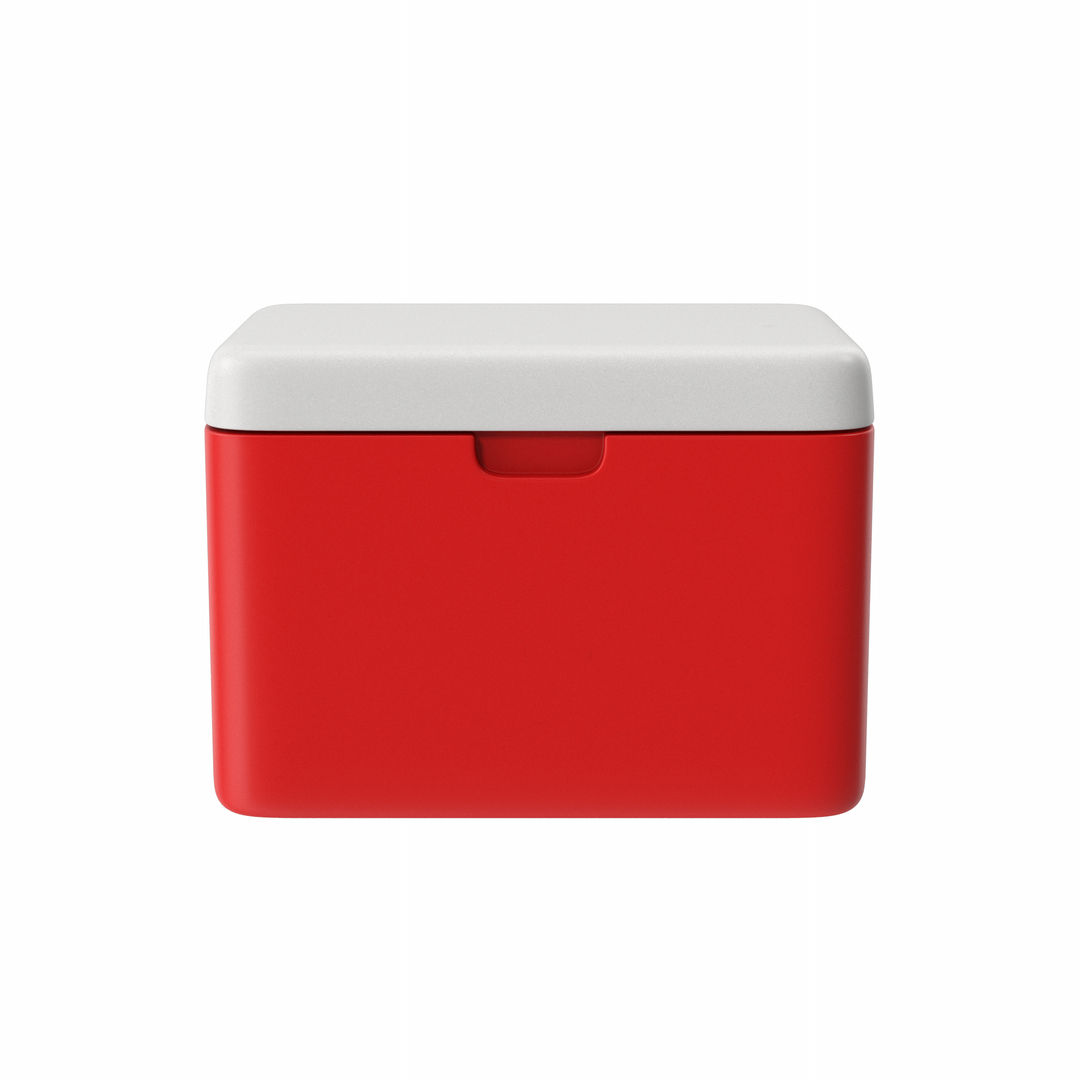Red Plastic Ice Cooler Box 3D - TurboSquid 1967463