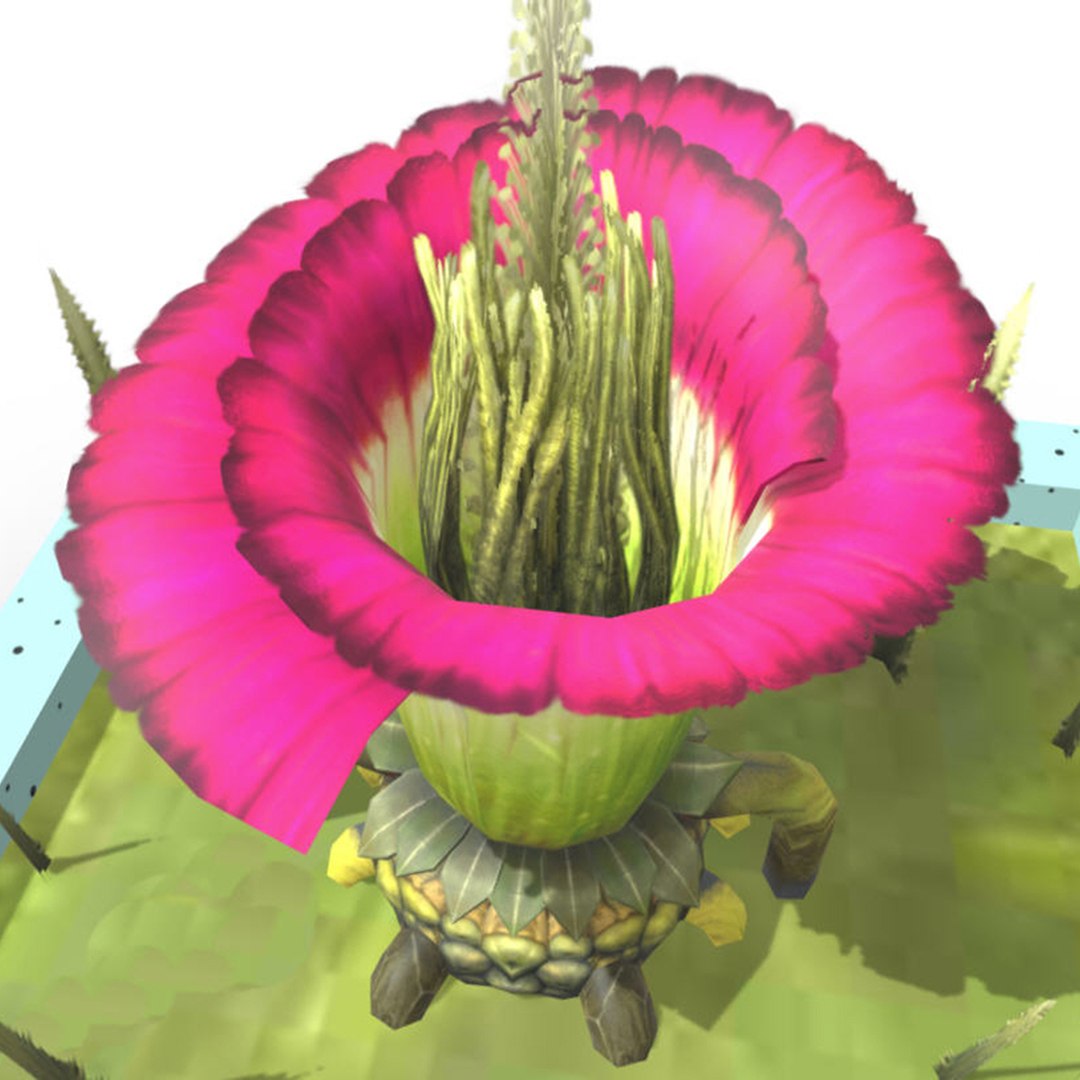 modelo 3d Ferilla flower - TurboSquid 2067811