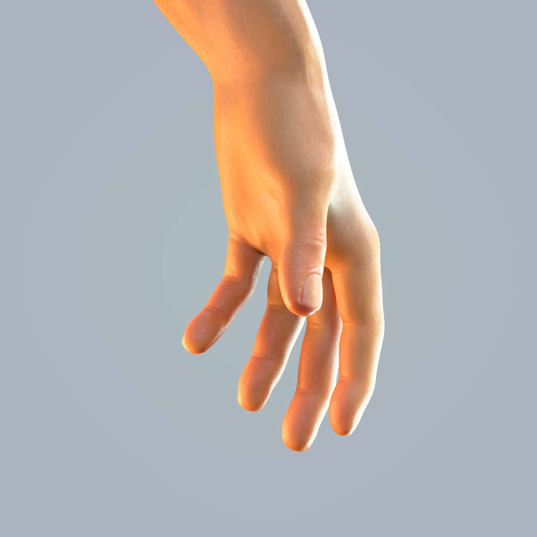 Hand Anatomy Man Rig Model - TurboSquid 1600018