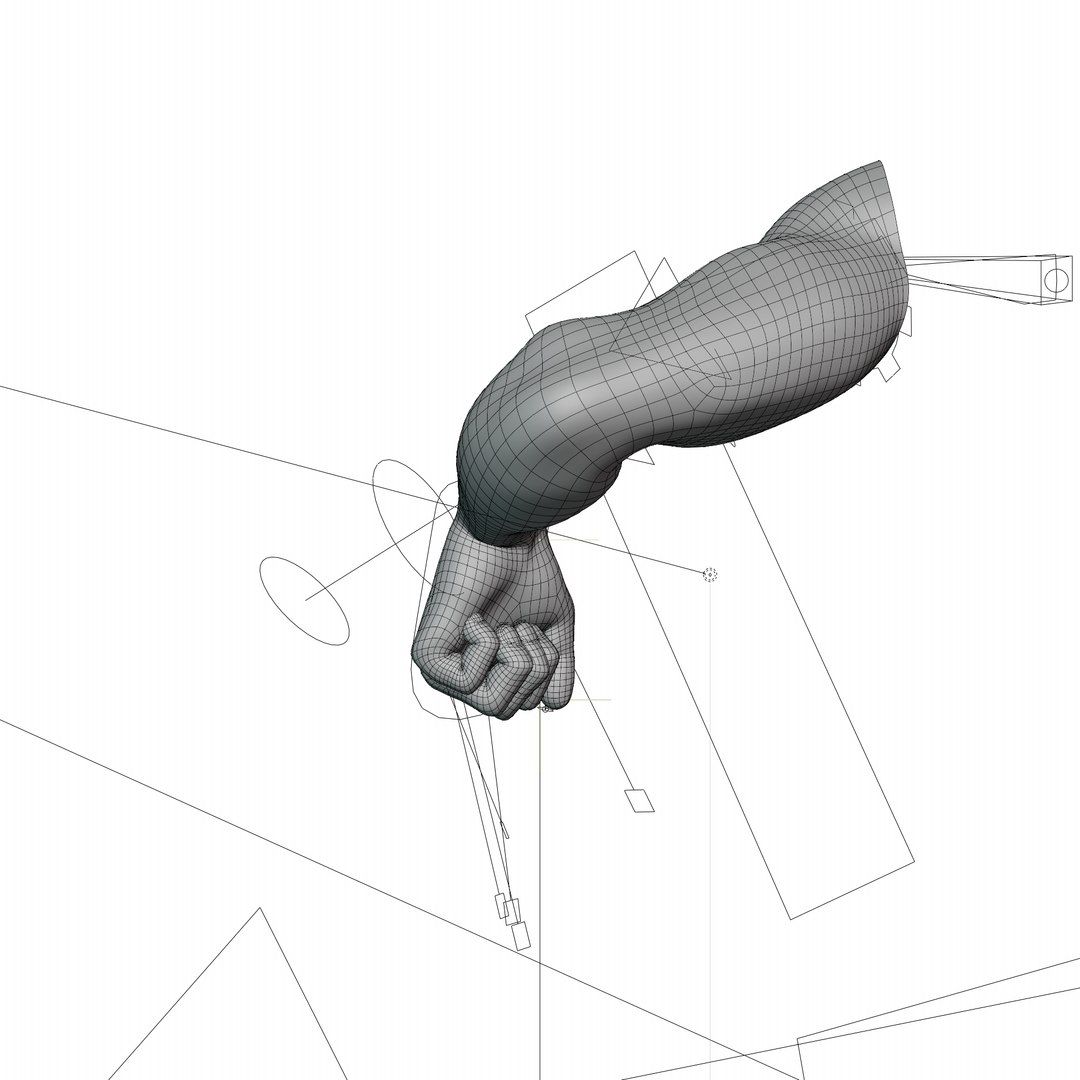 Hand anatomy man rig model - TurboSquid 1600018