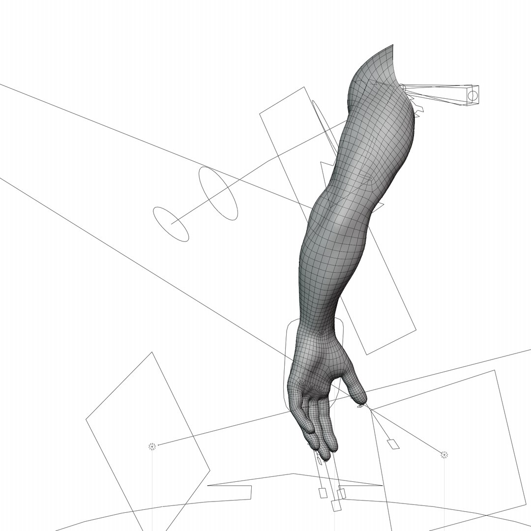 Hand Anatomy Man Rig Model - TurboSquid 1600018