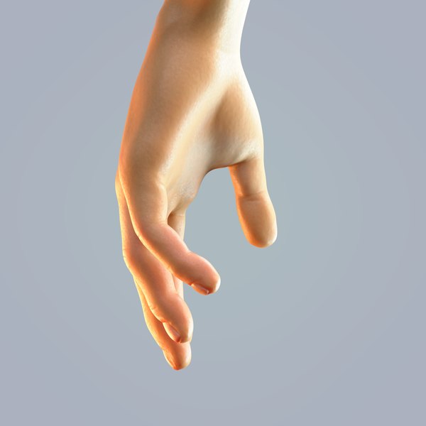 Hand anatomy man rig model - TurboSquid 1600018