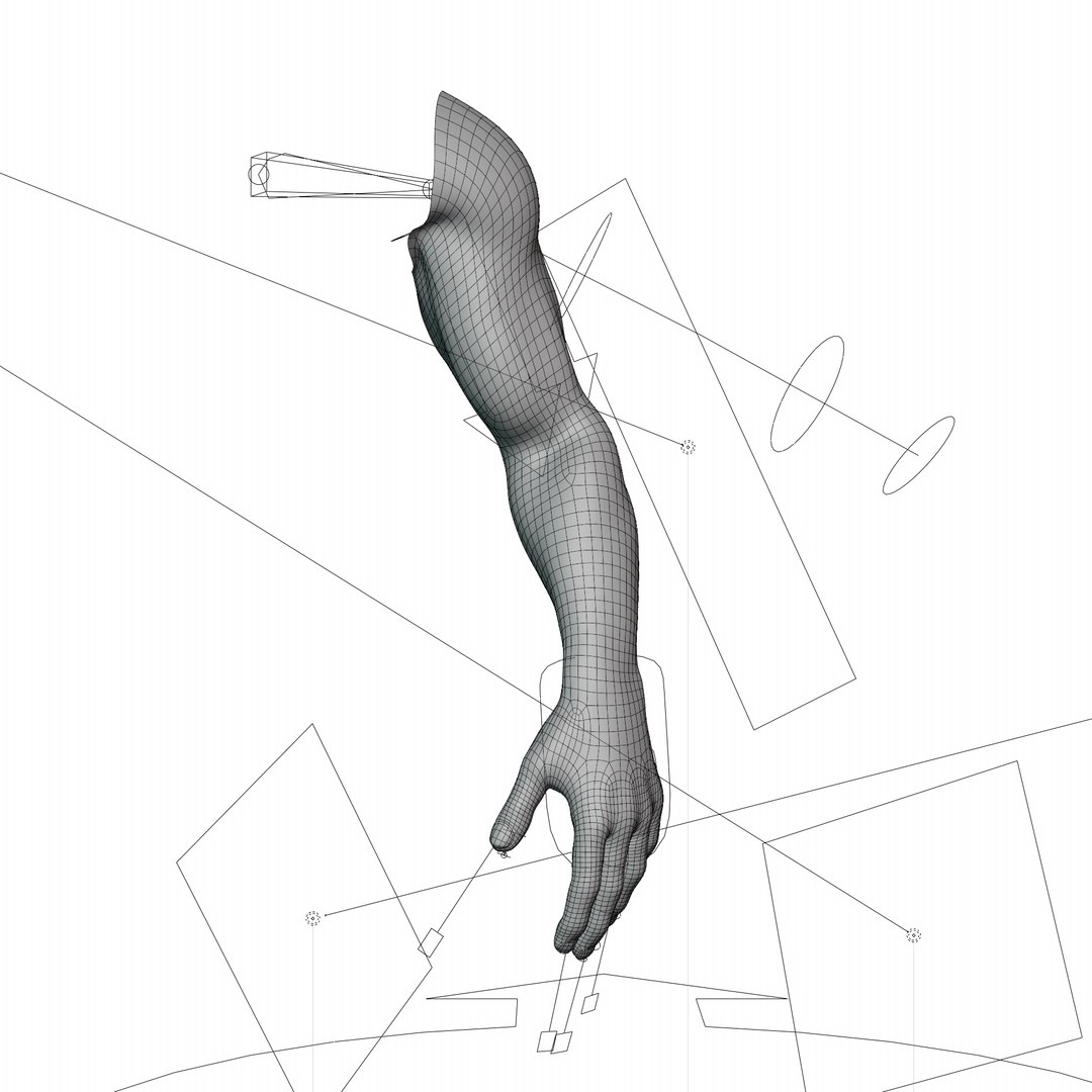 Hand Anatomy Man Rig Model - TurboSquid 1600018