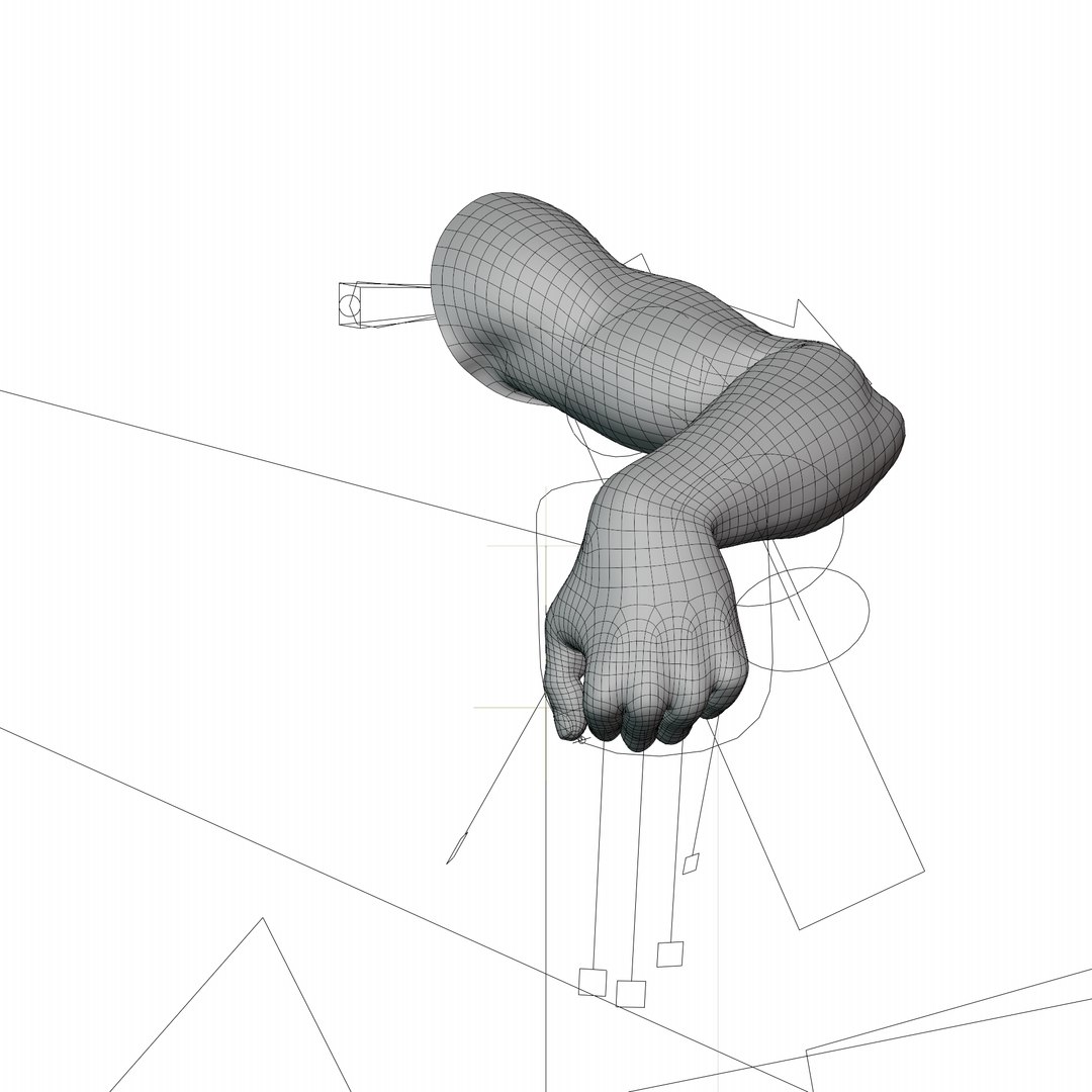 Hand Anatomy Man Rig Model - TurboSquid 1600018