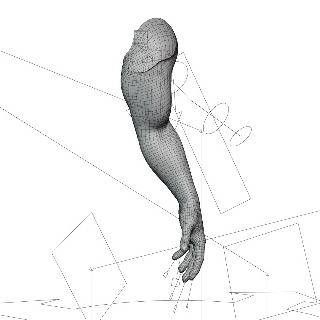 Hand Anatomy Man Rig Model - TurboSquid 1600018