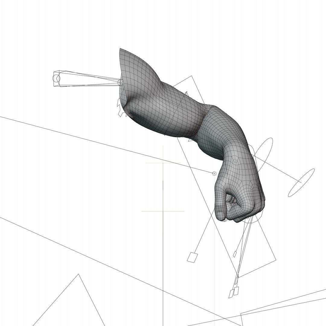 Hand Anatomy Man Rig Model - TurboSquid 1600018