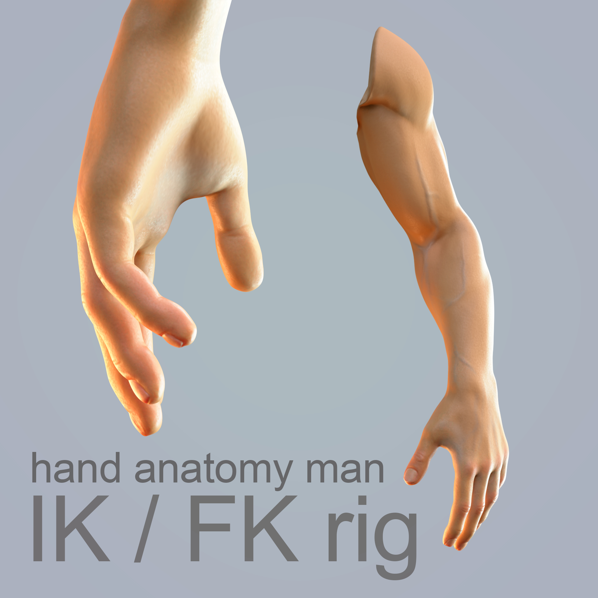 Hand anatomy man rig model - TurboSquid 1600018