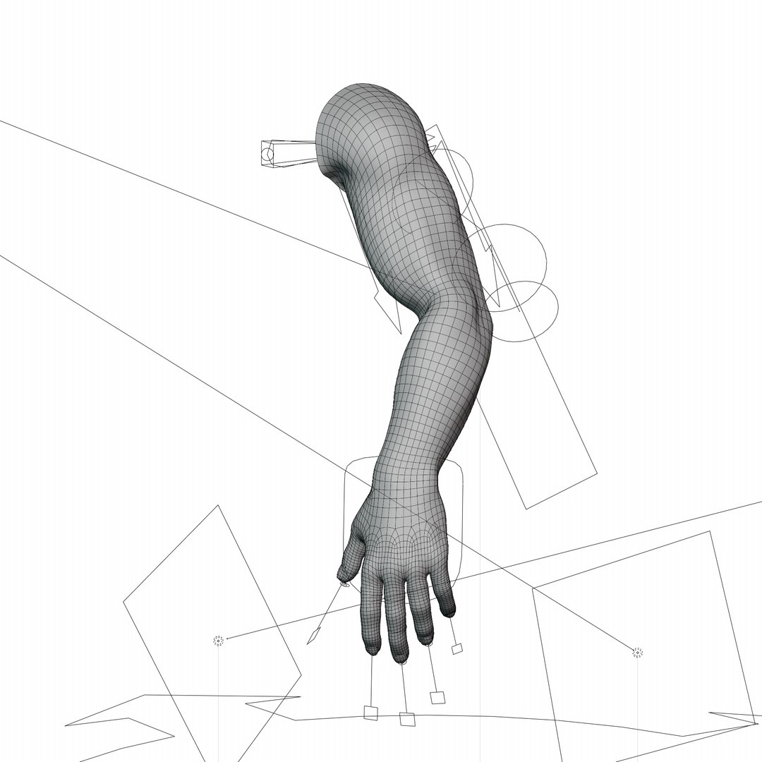 Hand Anatomy Man Rig Model - TurboSquid 1600018
