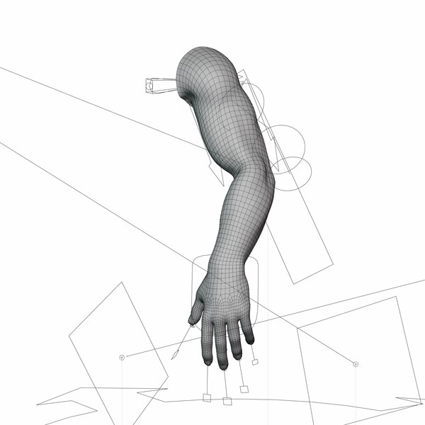 Hand anatomy man rig model - TurboSquid 1600018