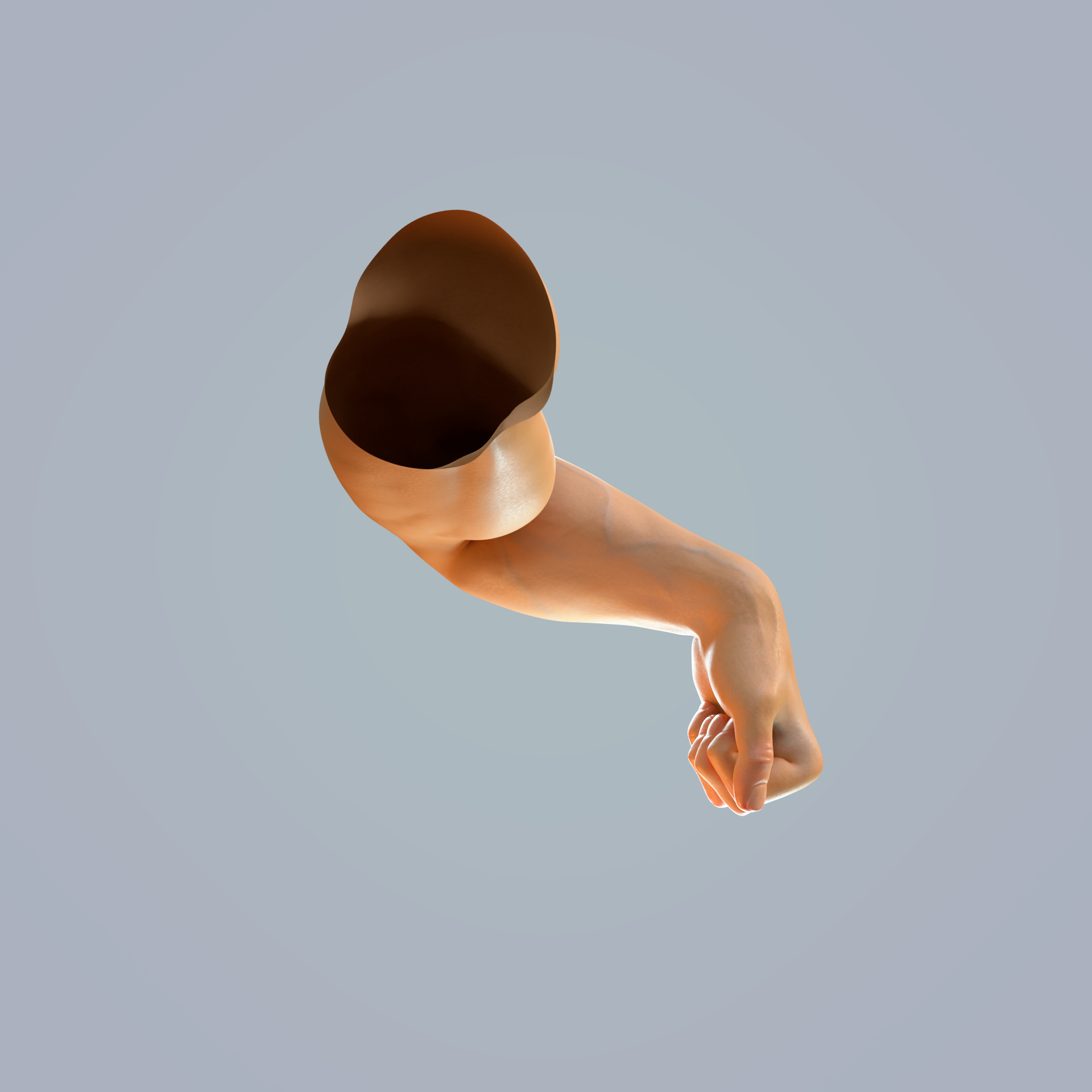 Hand anatomy man rig model - TurboSquid 1600018