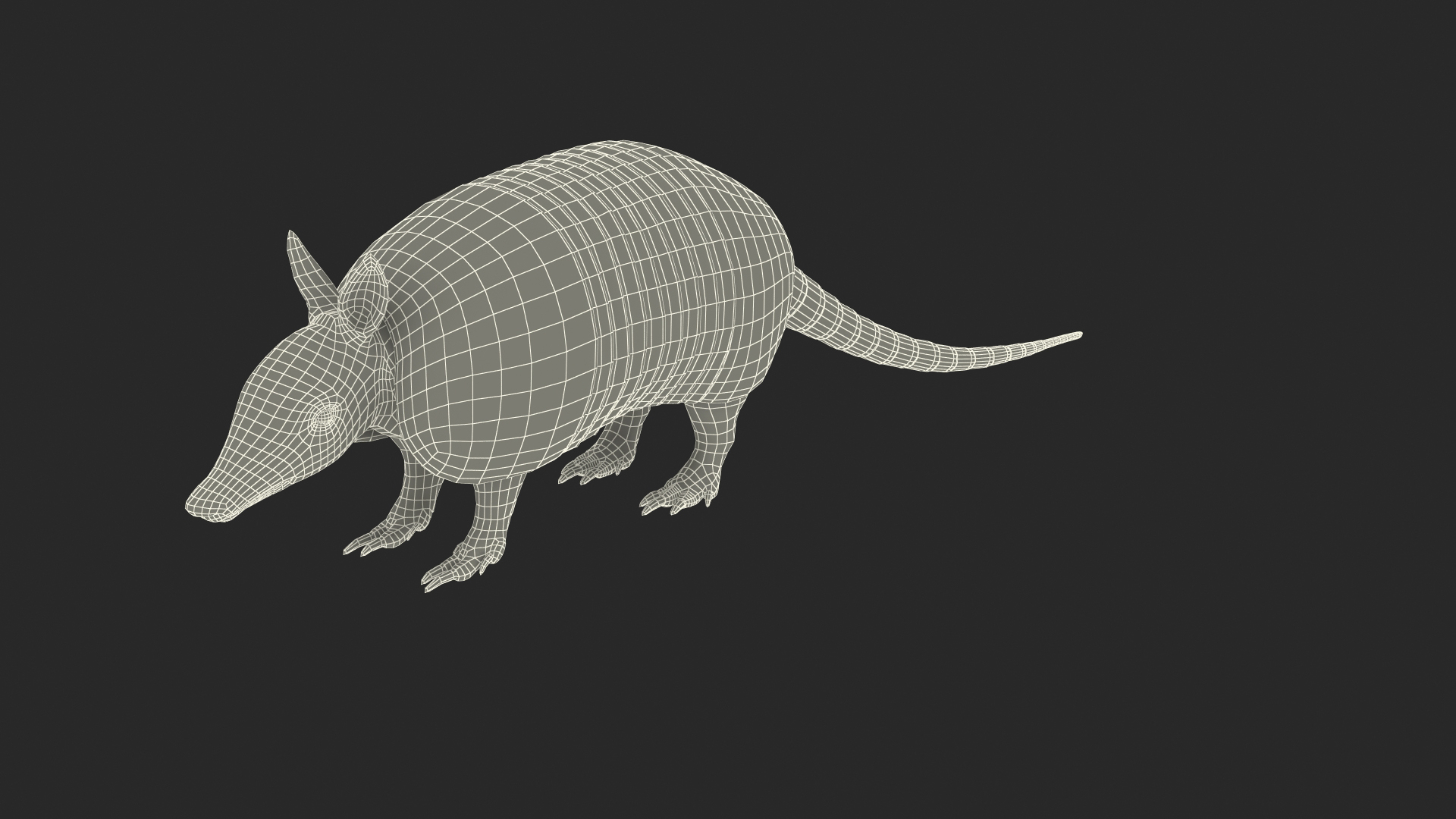 3D Armadillo Pink Rigged For Maya Model - TurboSquid 2253173