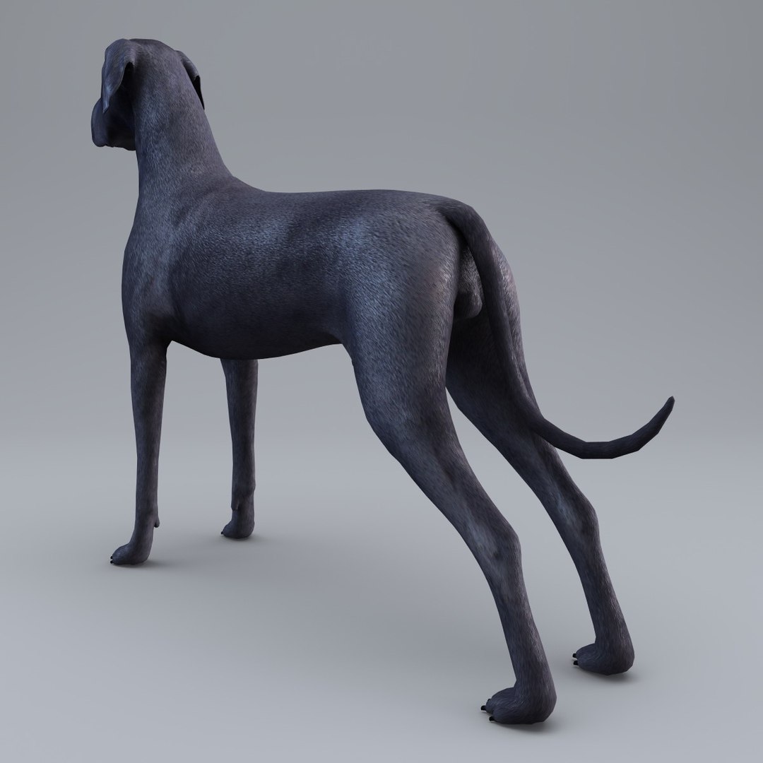 3d Model Great Dane Dog