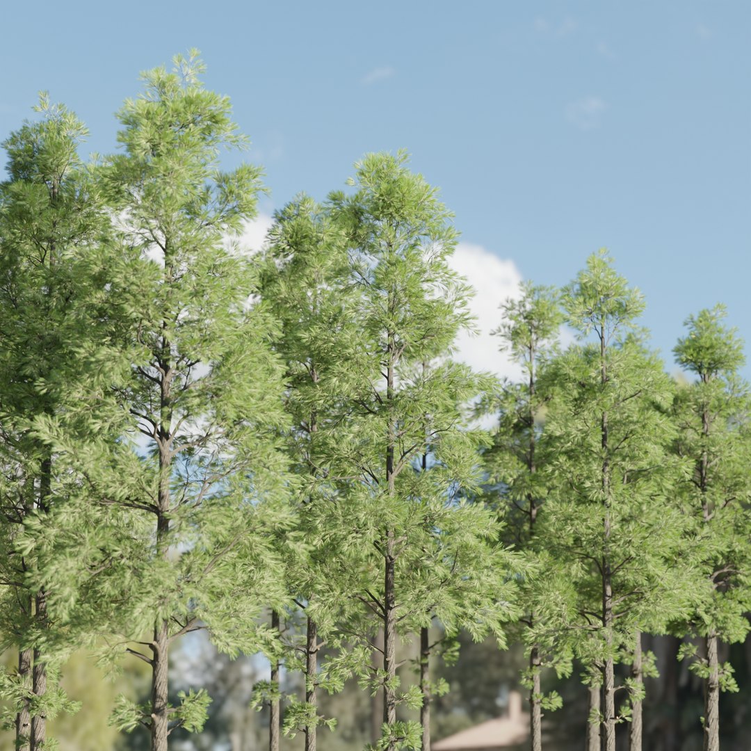 Pine Trees Collection Vol 227-Blender-3dmodel Model - TurboSquid 2210937