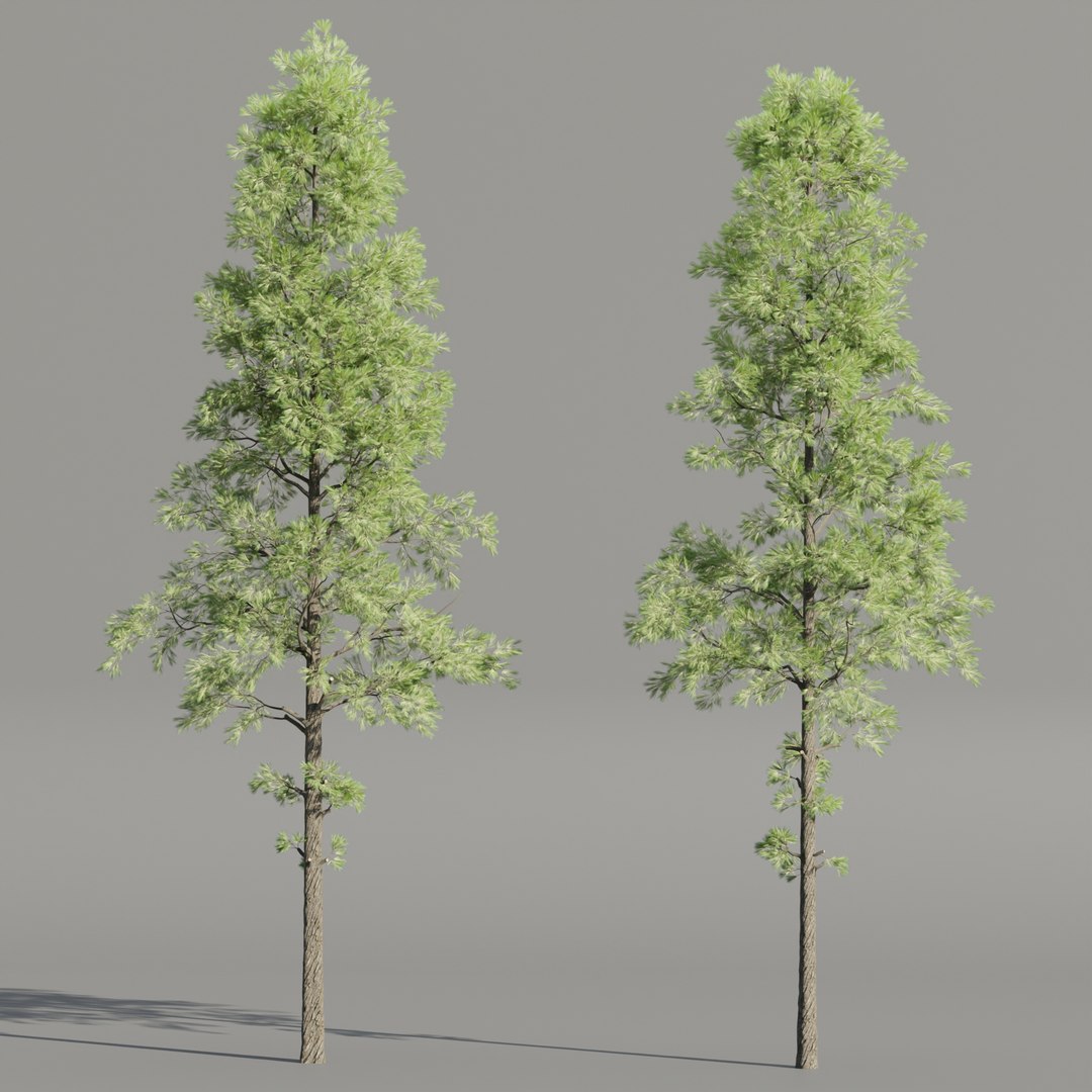 Pine Trees Collection Vol 227-Blender-3dmodel Model - TurboSquid 2210937
