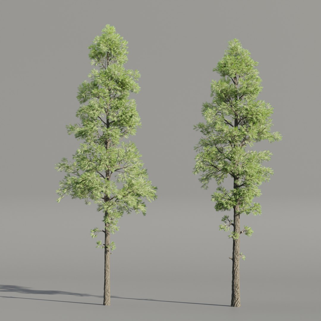 Pine Trees Collection Vol 227-Blender-3dmodel Model - TurboSquid 2210937
