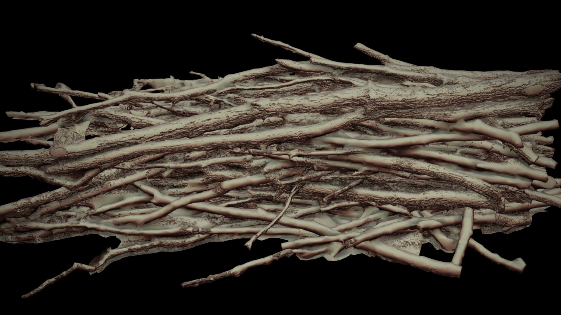 Wood Branches Forest Side Part2 Photogrammetry 3D Model - TurboSquid ...