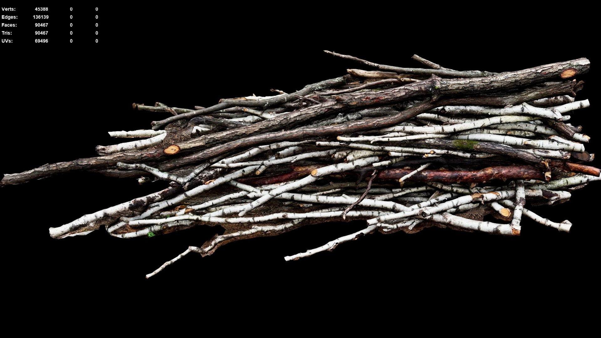 Wood Branches Forest Side Part2 Photogrammetry 3D Model - TurboSquid ...