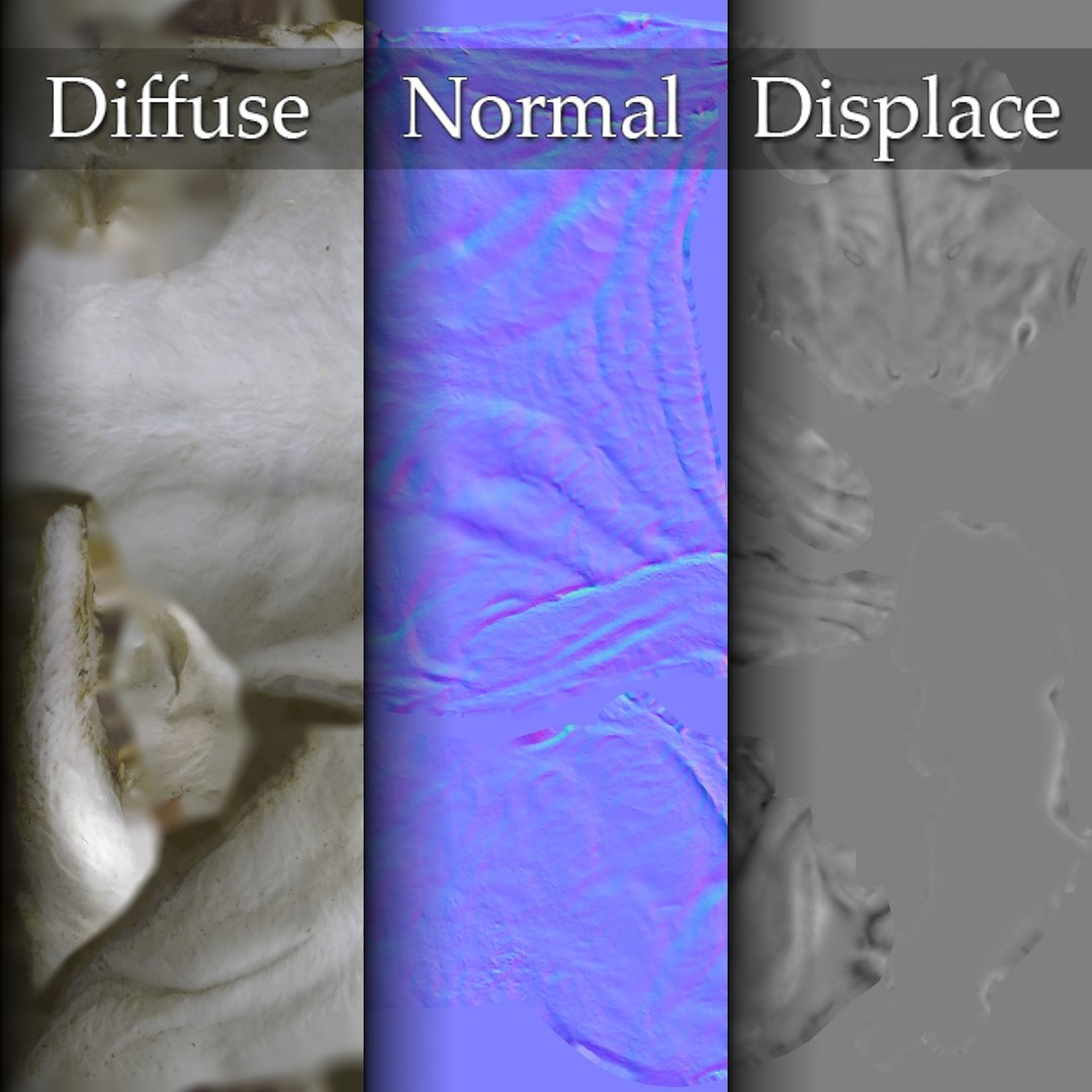 3D Model Scan Subdivision Displacement - TurboSquid 1186124