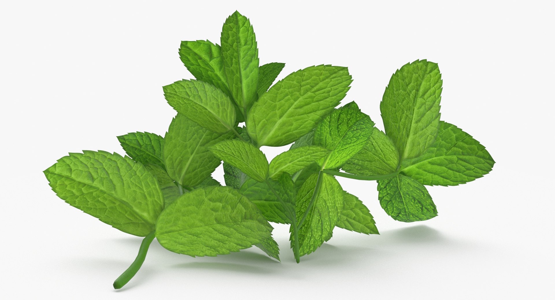3D Prop 13 Mint Sprigs Type 01 - TurboSquid 2145481