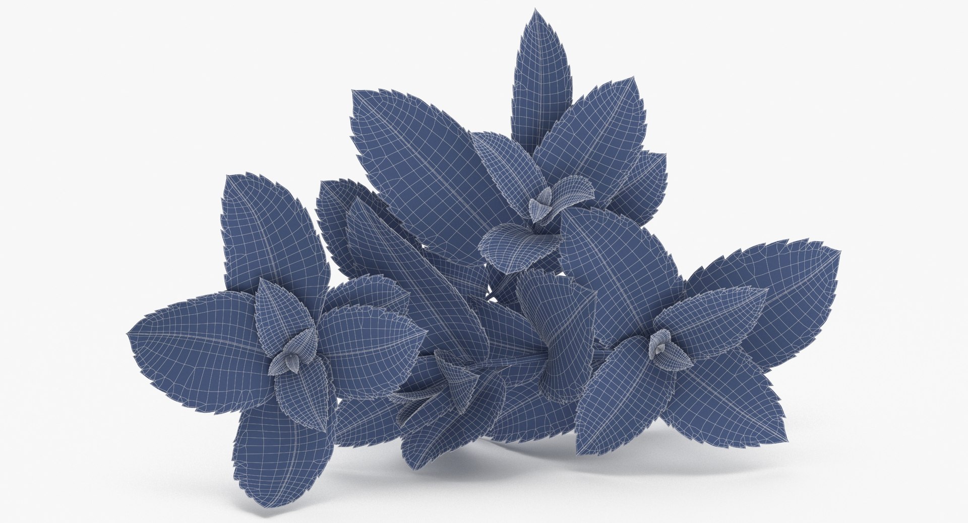 3D Prop 13 Mint Sprigs Type 01 - TurboSquid 2145481