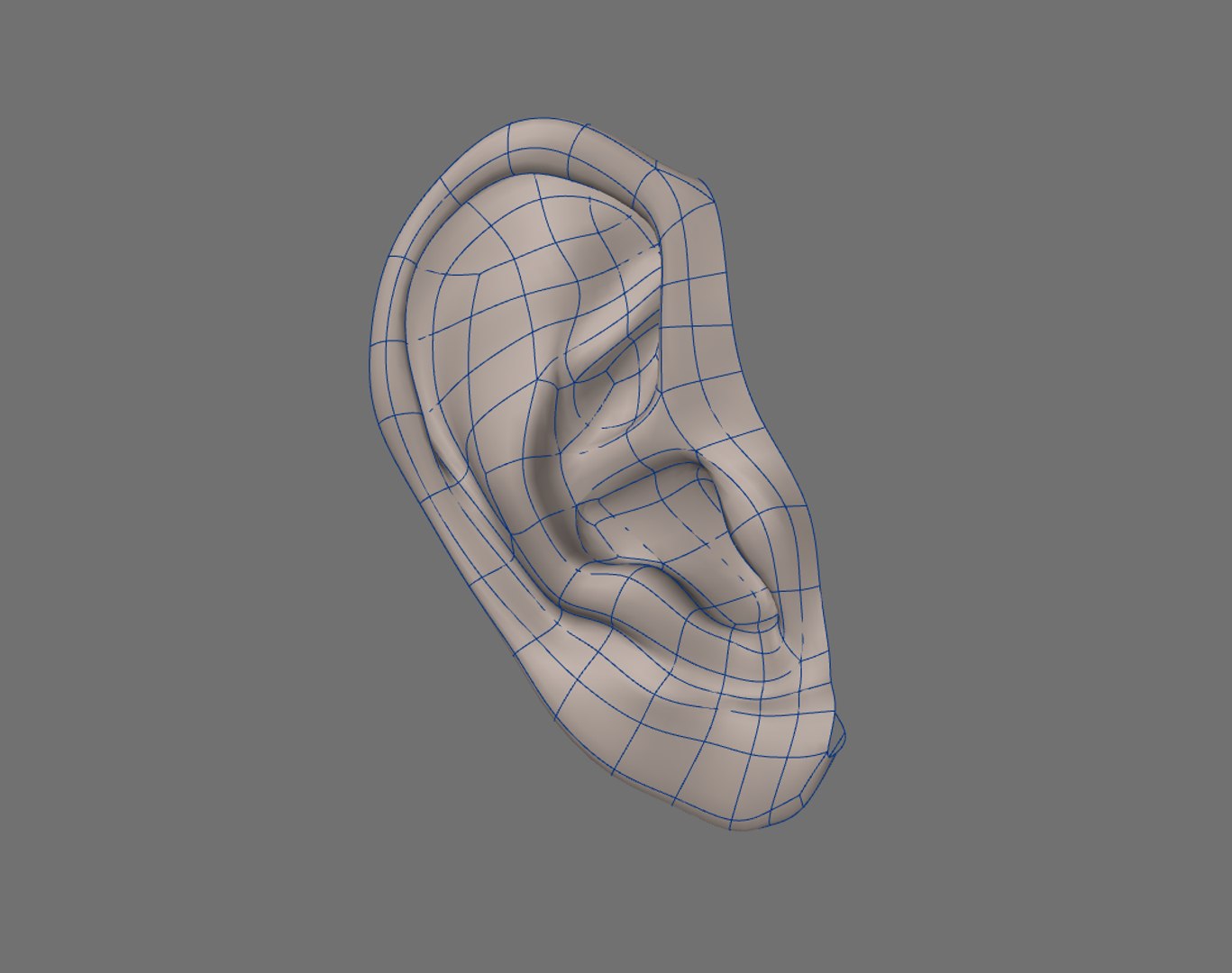 3d model photoreal human ear