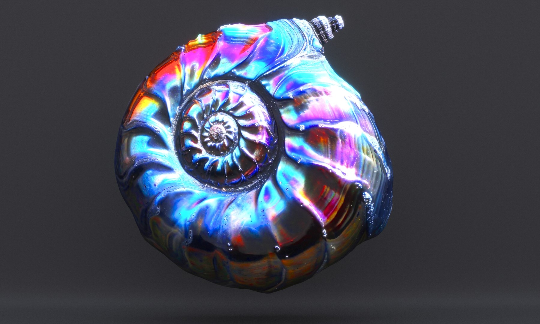 Colorfull Seashell Pack 3D model - TurboSquid 2176957