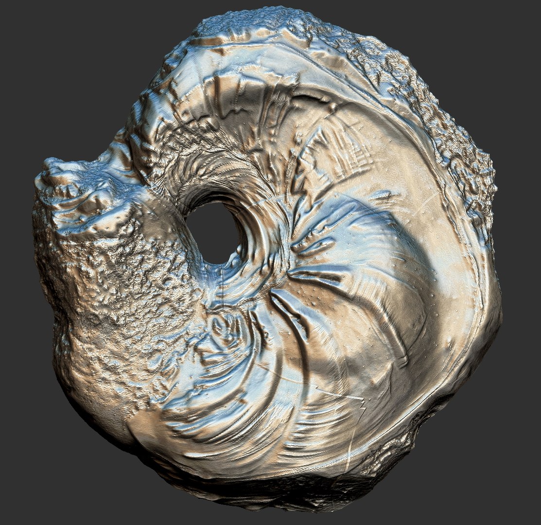 Colorfull Seashell Pack 3D model - TurboSquid 2176957