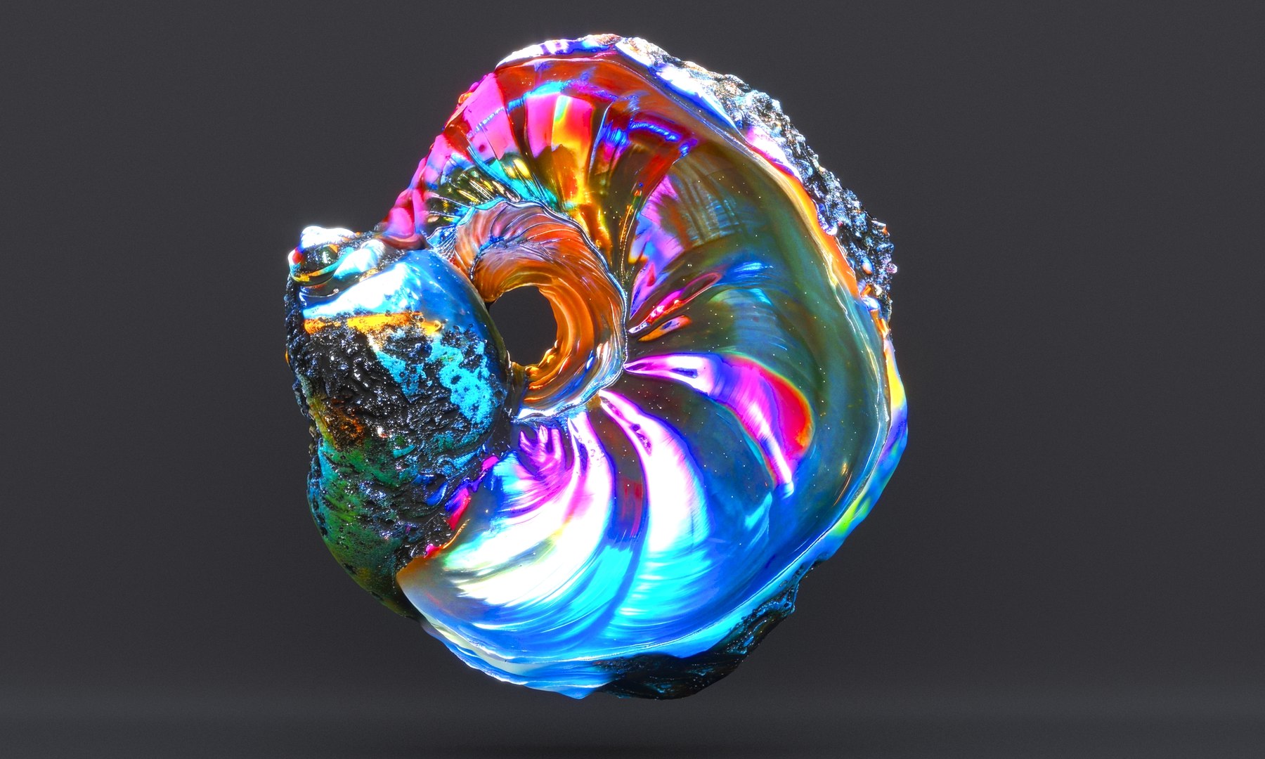 Colorfull Seashell Pack 3D model - TurboSquid 2176957