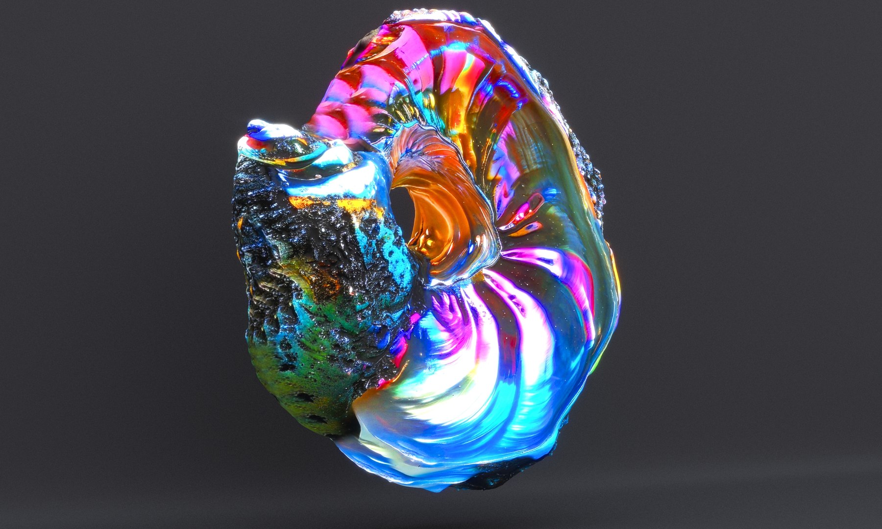 Colorfull Seashell Pack 3D model - TurboSquid 2176957